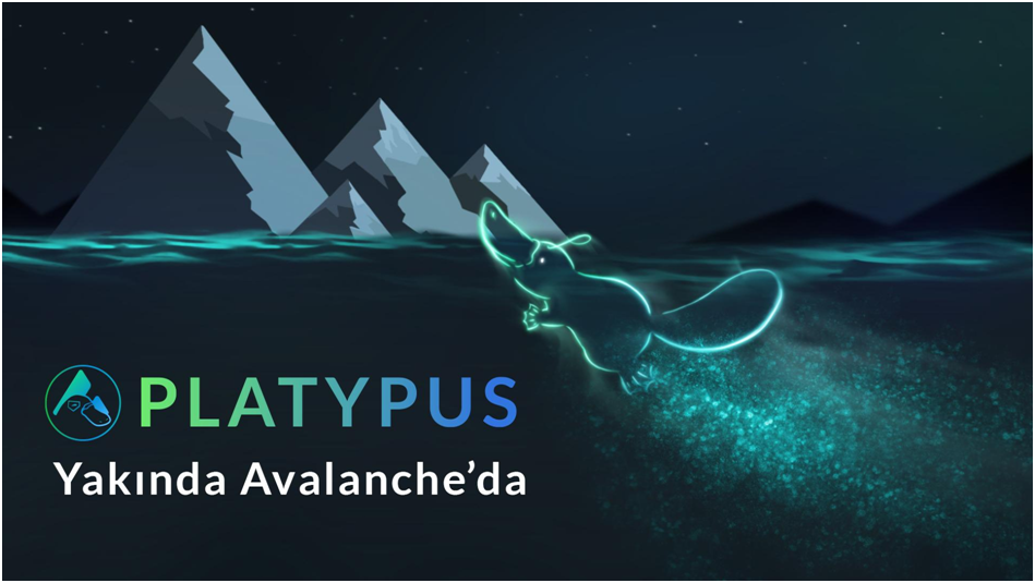 Platypus: Avalanche Ailesinin Harika Katılımcısı | by Platypus Türkiye | Platypus.finance | Medium