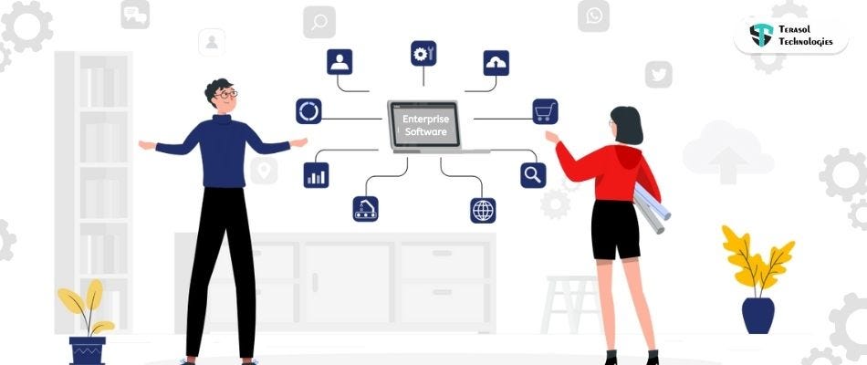 How Enterprise Software Development Helps in Business Acceleration | by Terasol Technologies ...