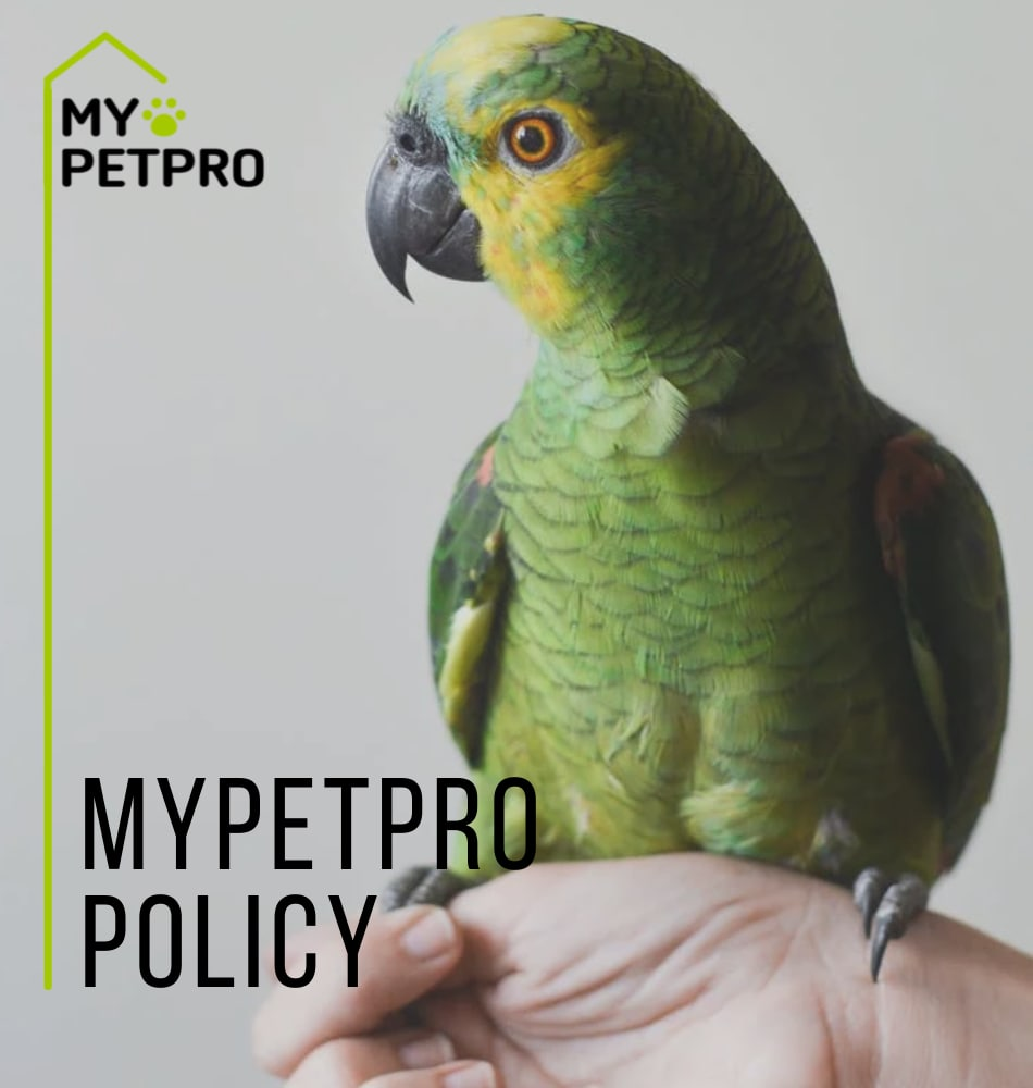 MyPetPro Policy. 🐾1) Basically, the MyPetPro platform… | by MyPetPro ...