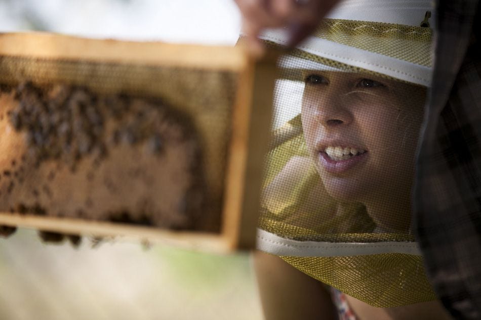 Bee Bold: Lessons from Ellie Symes, founder of The Bee Corp | by ...