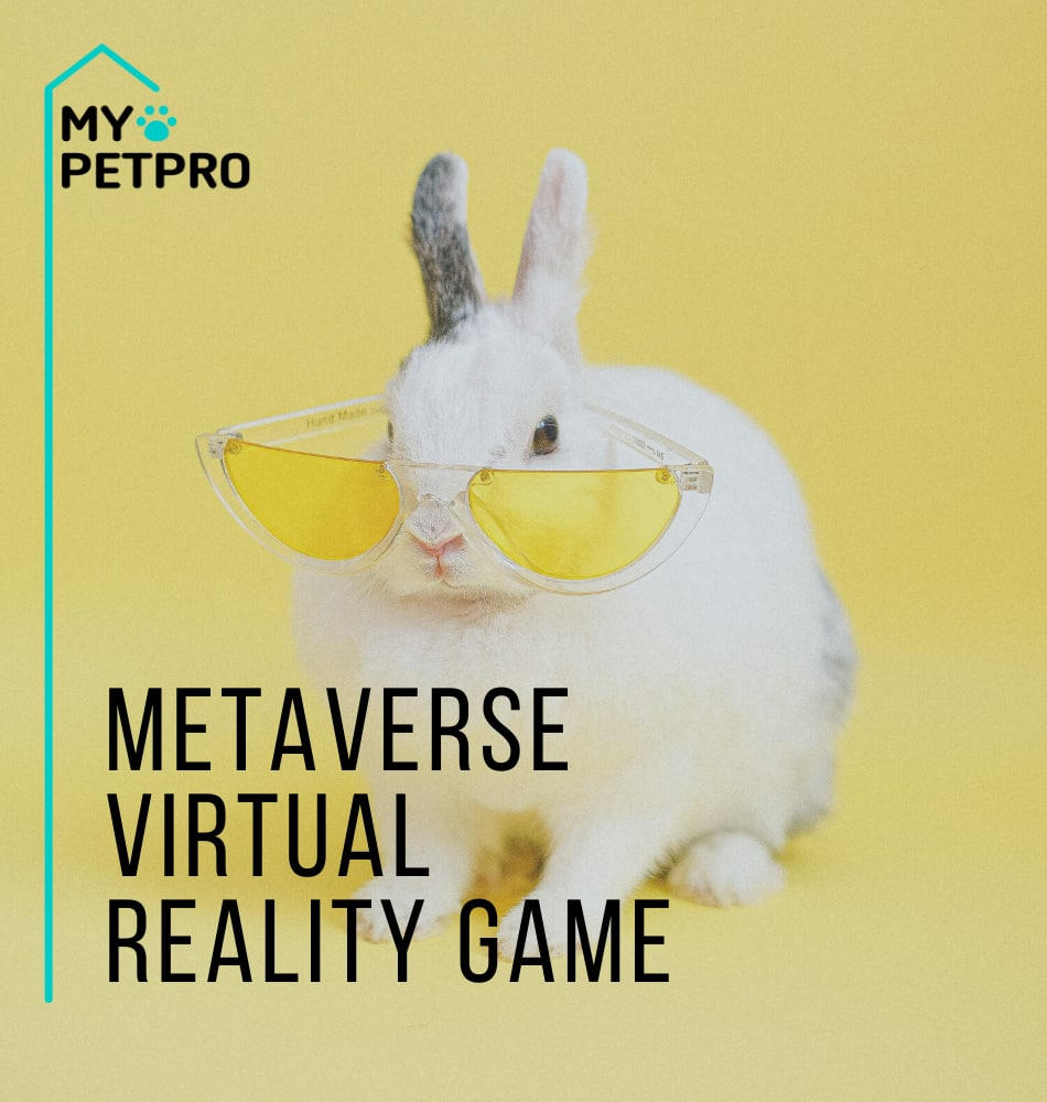 Metaverse Virtual Reality Game. It is a game that allows users to use ...
