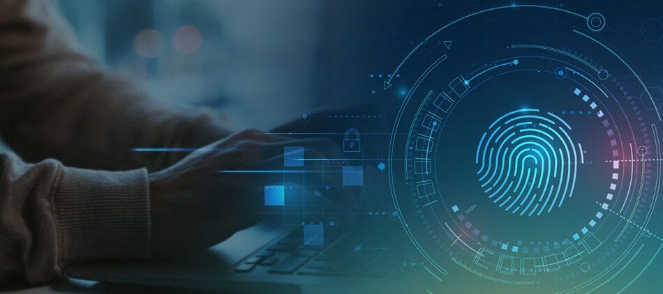 Dear Cybersecurity Newbie. Before you decide a pathway in this… | by ...