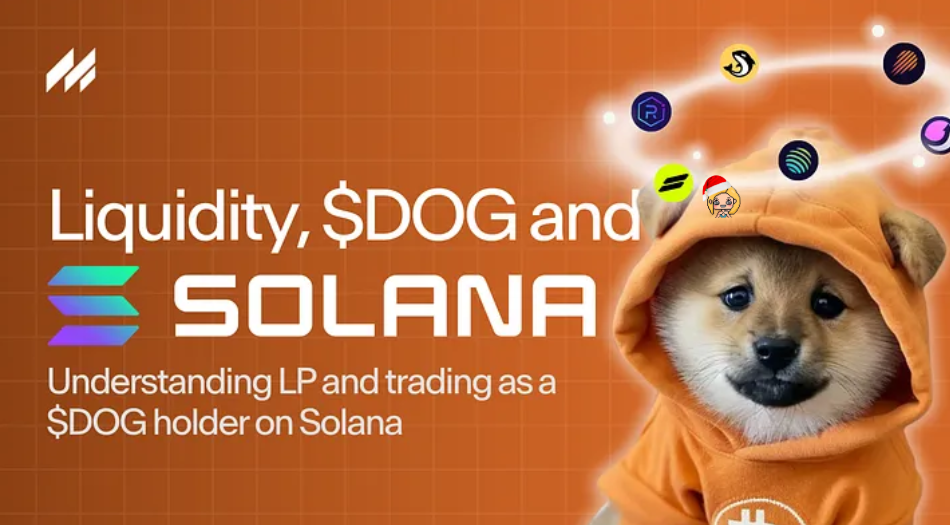 Adding Liquidity for $DOG on Solana: A Beginner’s Step-by-Step ...