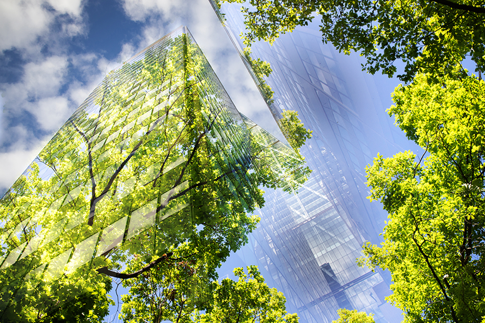Is constructing zero-carbon buildings possible? | by Liliane Gonzaga ...
