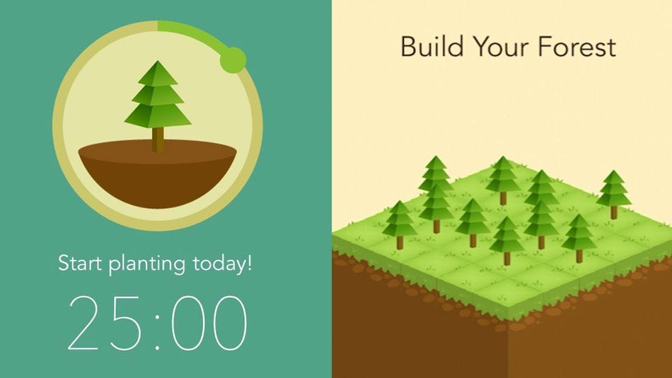 Focus More and Build Your Forest. (My Personal Feedback about Forest ...