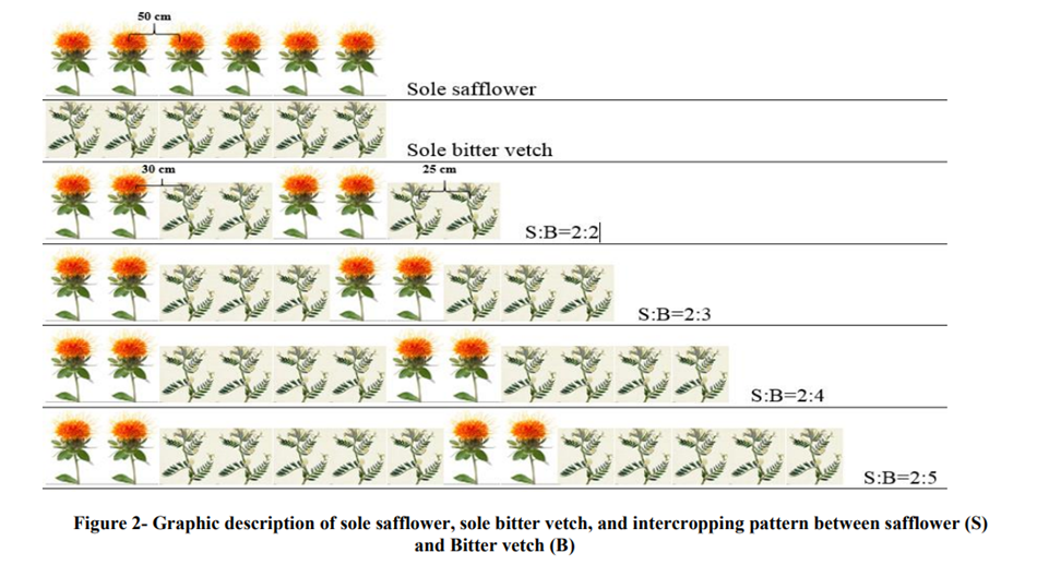Impacts of High and Low-Input Farming Systems on the Quality Change of ...