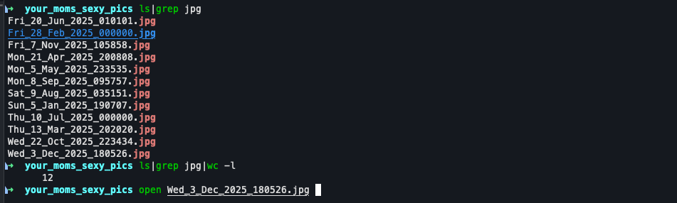 Top 10 Minimal Oh My Zsh Themes for a Clean and Fast Terminal - Jonathan Hoffman - Medium