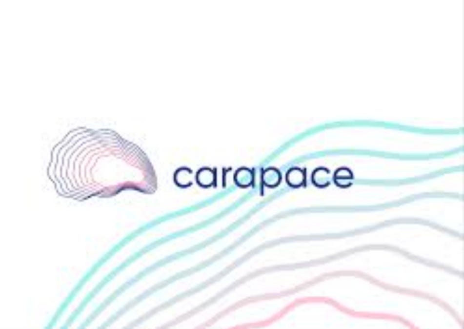Carapace.. Carapace the project is a protocol to… | by Contemplative ...