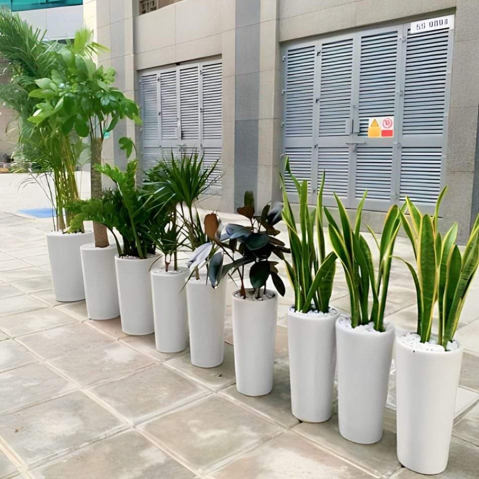 Comprehensive Plant Maintenance Services in Dubai | by Smart Home ...