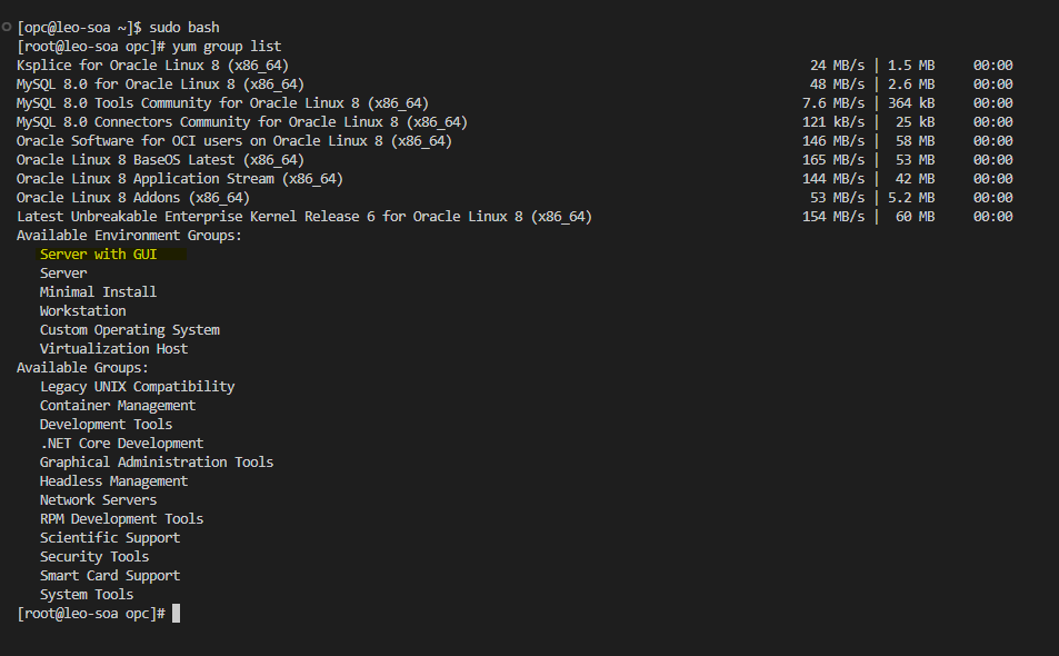 Configuring The Gui For Oracle Linux8 On Oci With Vnc Service By Leo