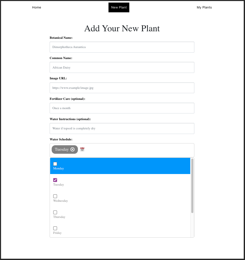 How I Used NPM React Multi-Select Dropdown For My Web App Form | by ...
