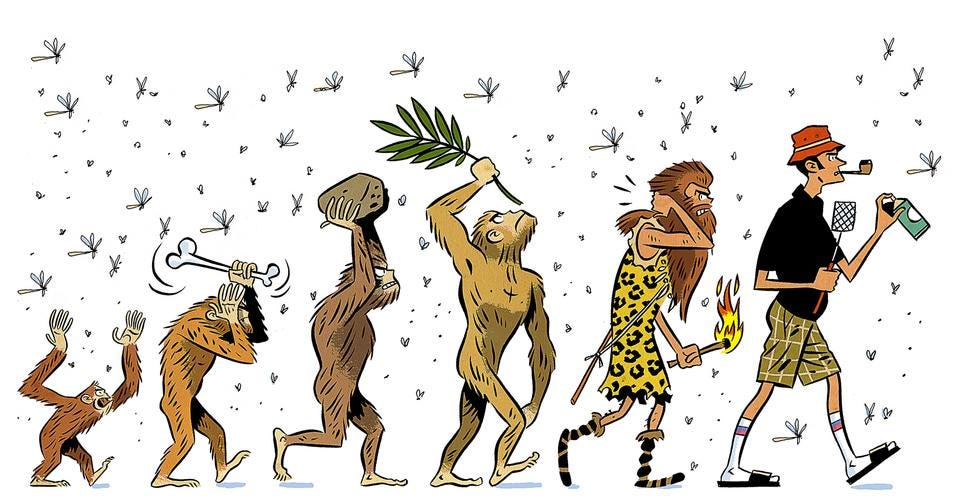 Let’s talk about Bugs. Bugs mess everything up, don’t they? | by Chuka ...