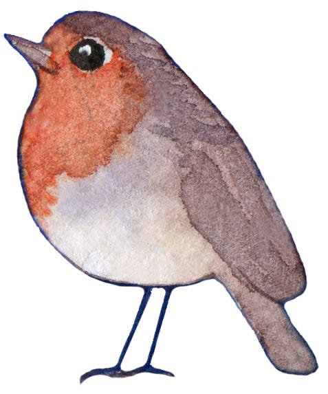 Robin Sketch