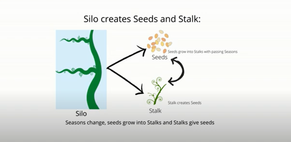 Introduction to beanstalk:. How well do you know your beans series ...