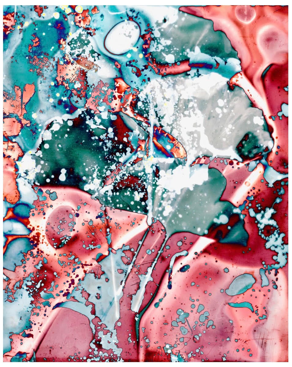 Solar-Powered: The Dazzling Alchemy of Lumen Prints | by Peppa Martin ...