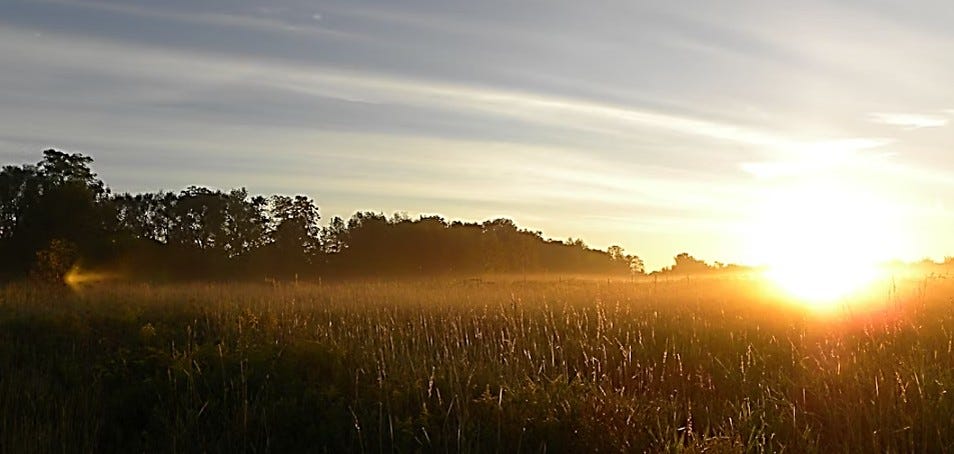 Mourning Becomes Joy. Grief has a way of making time stand… | by Randy ...