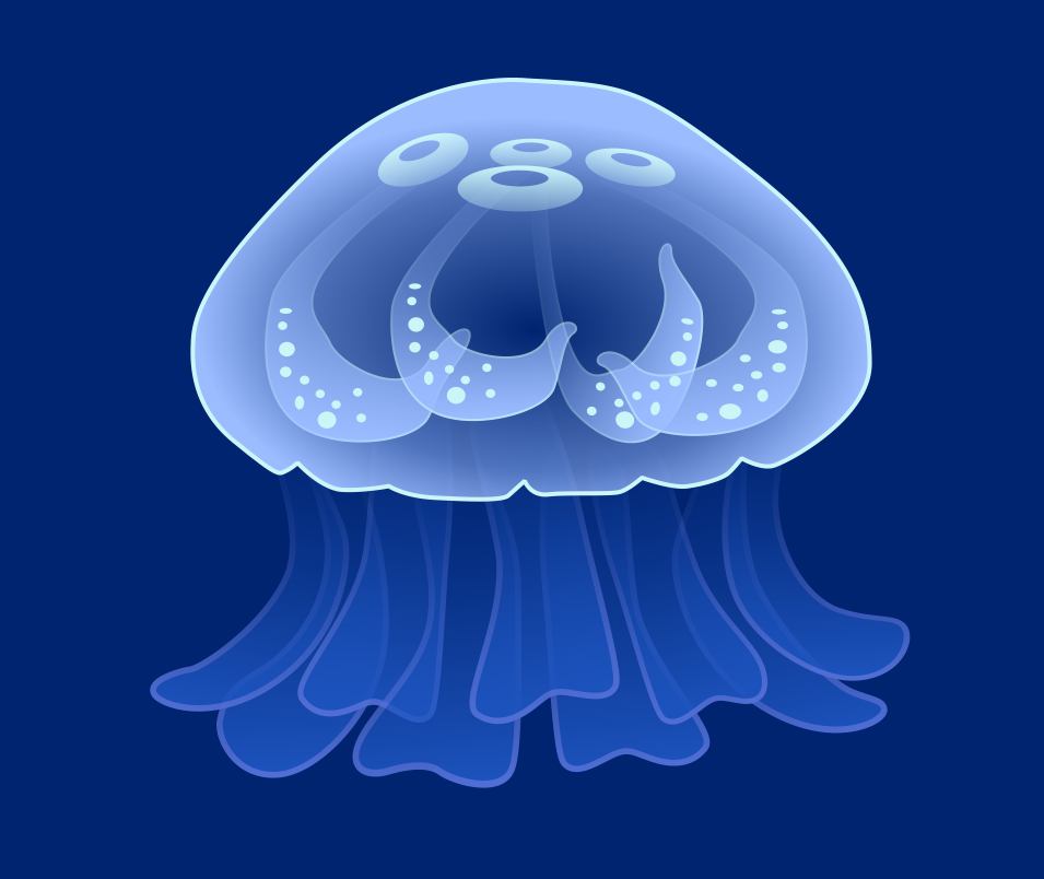 Cartoon Jelly Fish