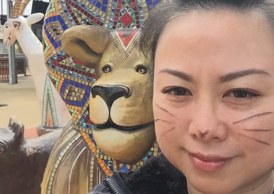 Sue Ann Ho | What’s your story?