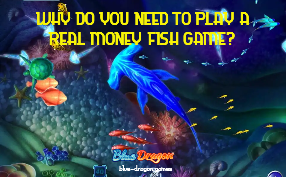WHY DO YOU NEED TO PLAY A REAL MONEY FISH GAME? | by Nikagray | Medium