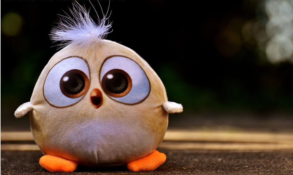 8 Funny Twitter Posts To Close Out November | by Jane Flowers | Medium