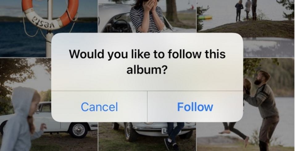 New: Album Notifications. We are introducing Album Notifications… | by ...