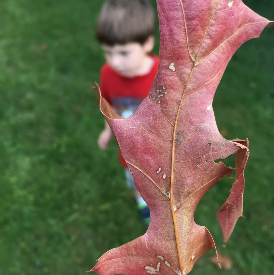 Why Wednesday, Why. Our autism journey | by Lynn Browder | Medium