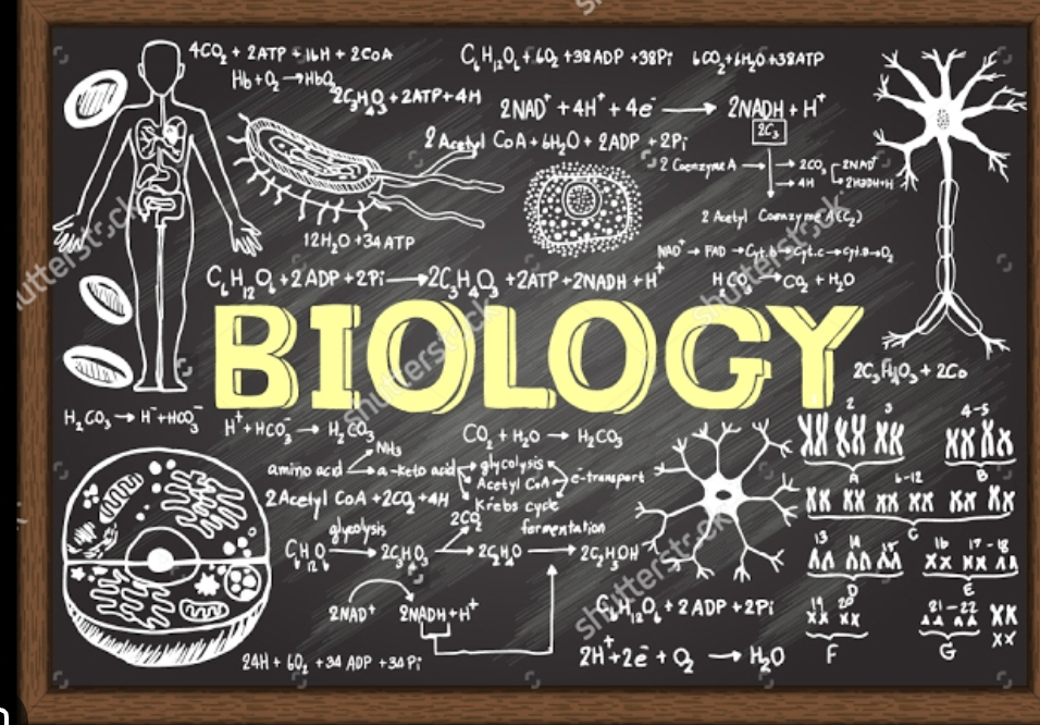 Connecting Anthropology and AP Biology: Where Humans Meet Science | by ...