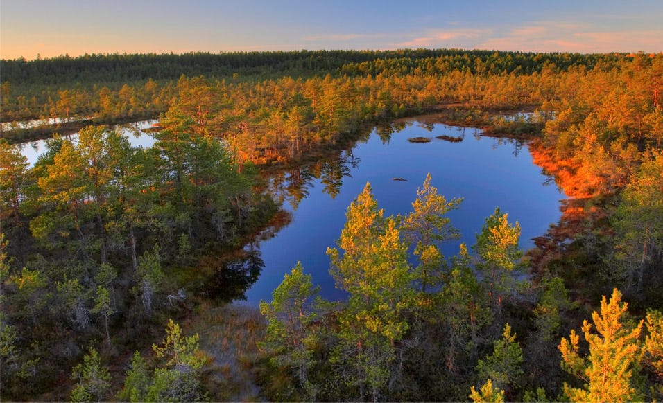 Estonian Key Facts and Figures — Geography, Climate and Weather ...