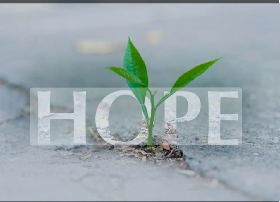 Hope. Hope is the most beautiful gift one can… | by Sharvary Vairal ...