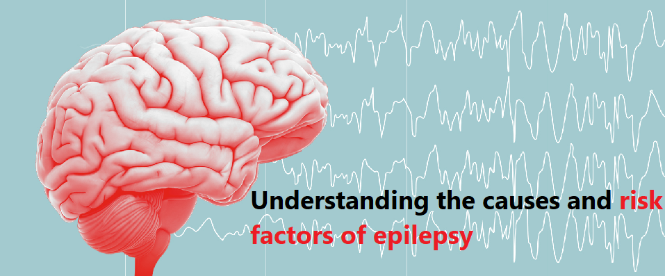 Epilepsy Risk Factors