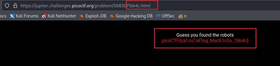 PicoCTF 100 pointers solution. Web exploitation: | by Pemba Tsheering. | May, 2024 | Medium