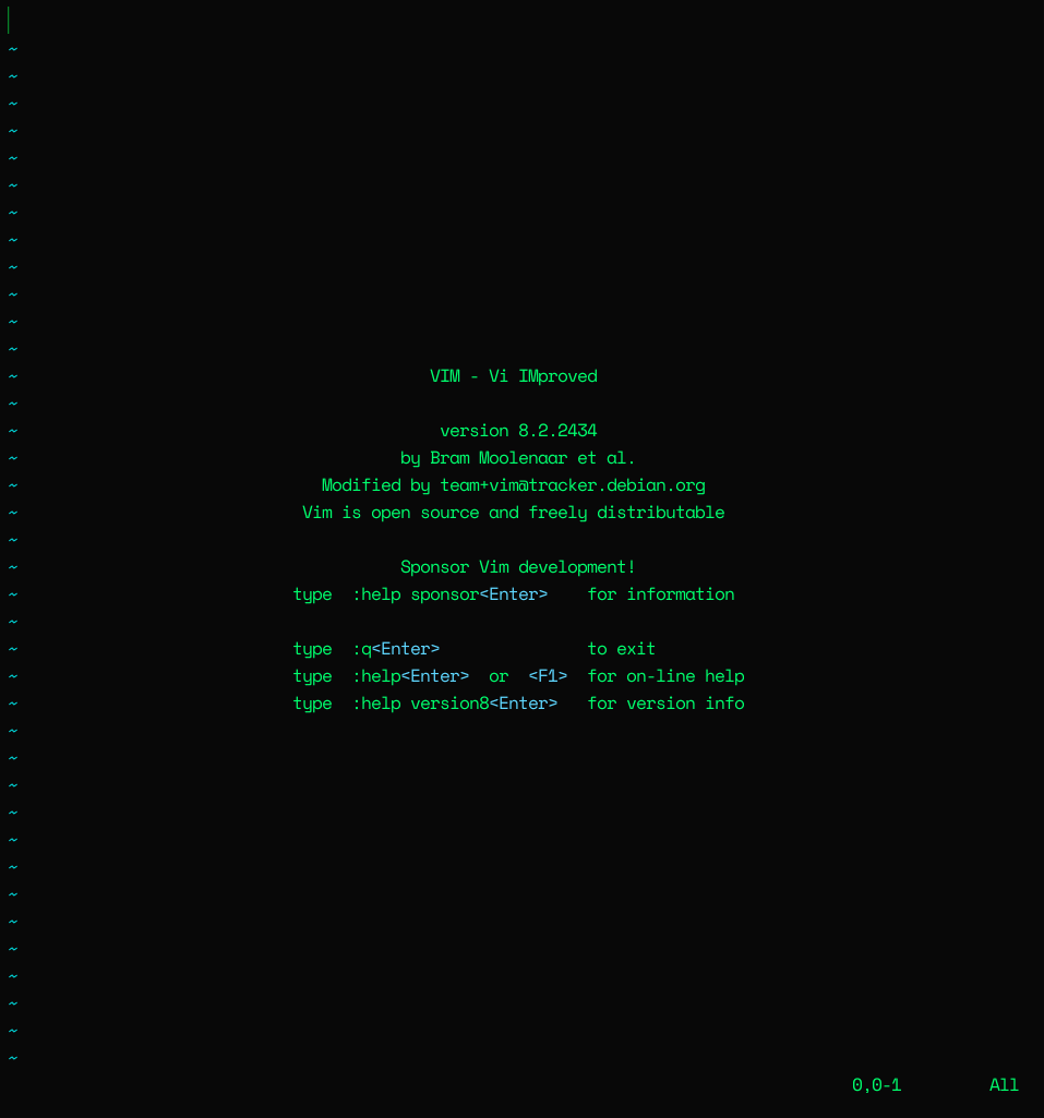 Not Another Vim Article. Why does it feel like in the tech… | by boredSoloDev | Oct, 2023 | Medium