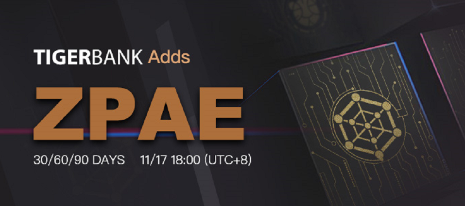 TIGER Bank Adds ZPAE for Phase 11 | by CoinTiger | CoinTiger | Medium