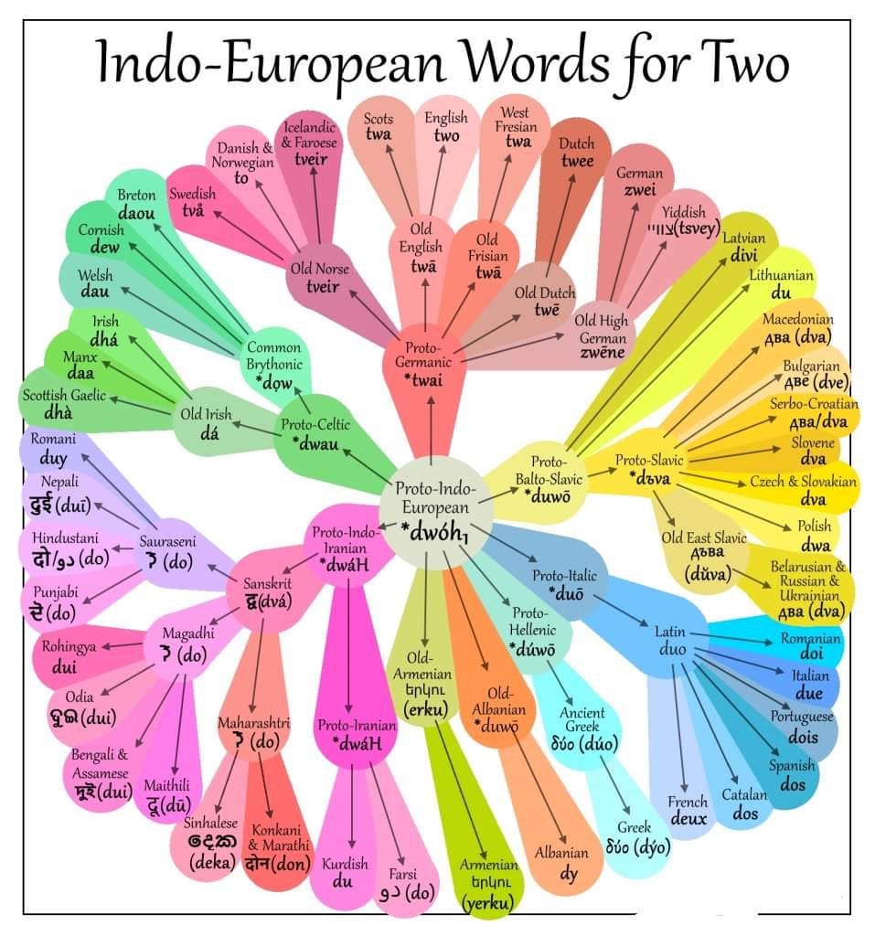 The Indo-European Language Family: The Complexity of Its Complexity ...