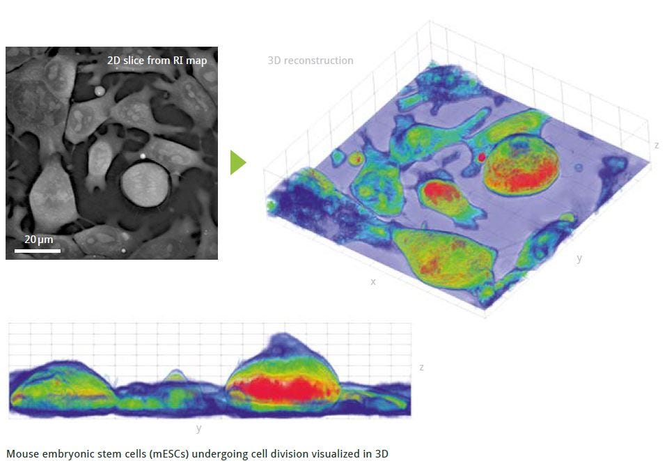 Label-free imaging: Possible with this ultimate three-dimensional live ...