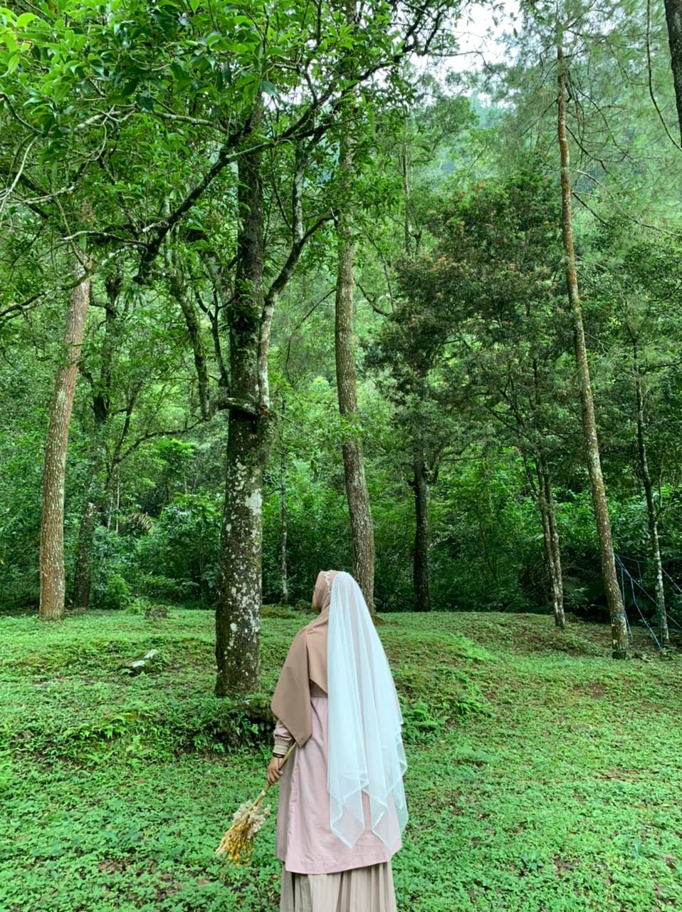 MASIH, - Yogaarum - Medium