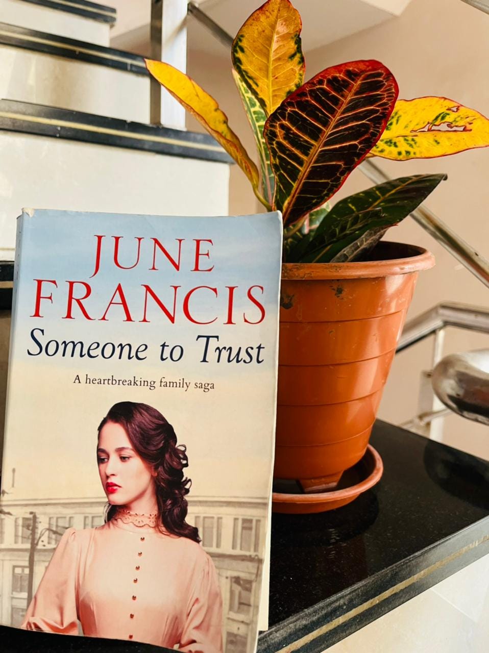 Book Review: ‘Someone to Trust’ by June Francis | by Ranu Agrawal | Medium