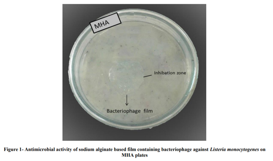 Prevalence of Listeria spp. in Seafood Samples and Control of Listeria ...