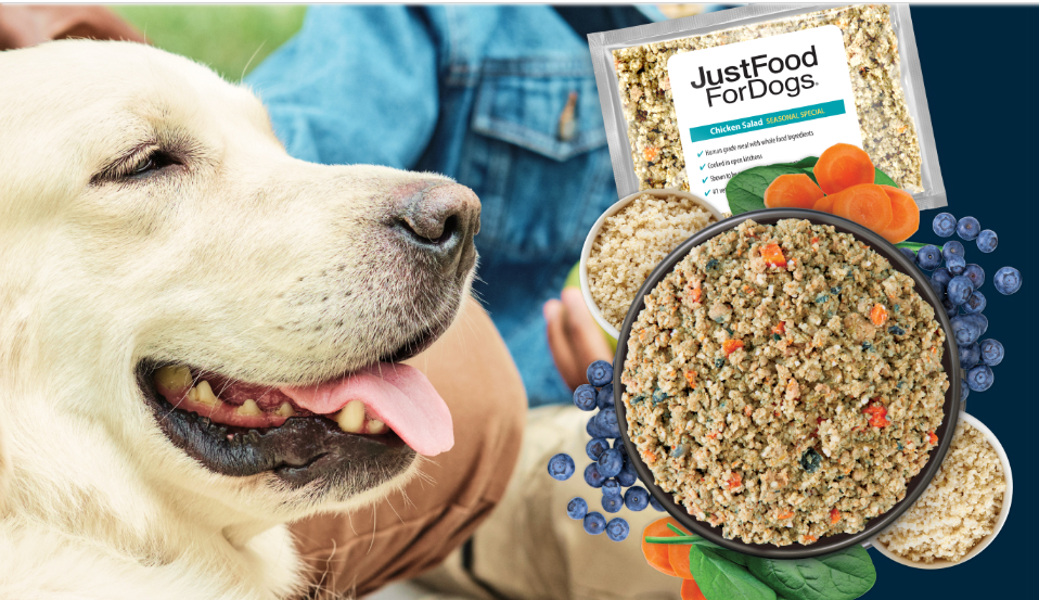 Importance of Understanding Your Dog’s Nutritional Needs | by Fiona Del ...