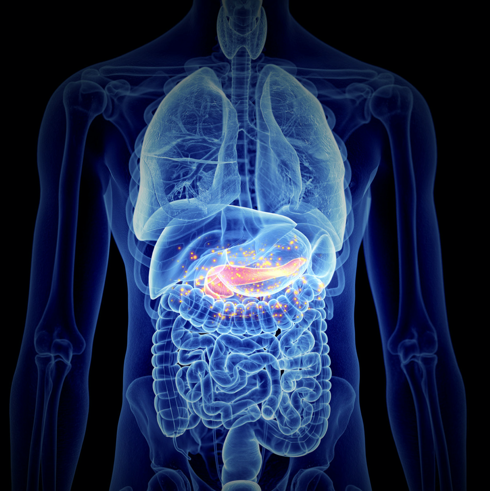 Overview on Pancreatitis: Symptoms, Causes and Complications | by Dr ...