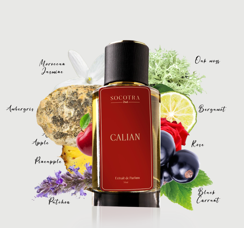Calian - Arabian Fragrance Discoveries - Medium