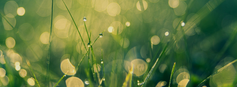 Stimulsoft Reports and Dashboards. New version 2020.3 released | by ...