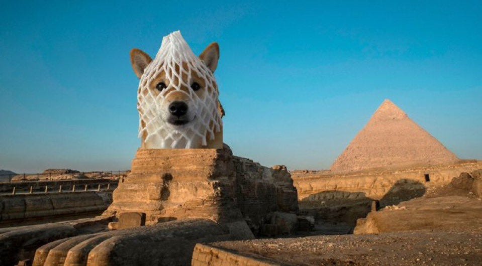The next Doge is here ($wDog). We all know that meme coins have been ...