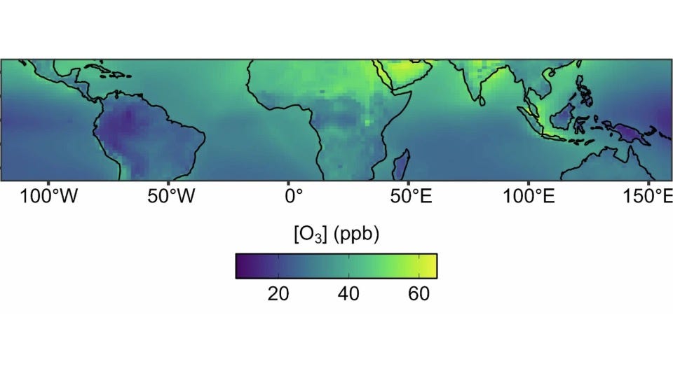Ground-level ozone has reduced tropical forest productivity by 17 ...