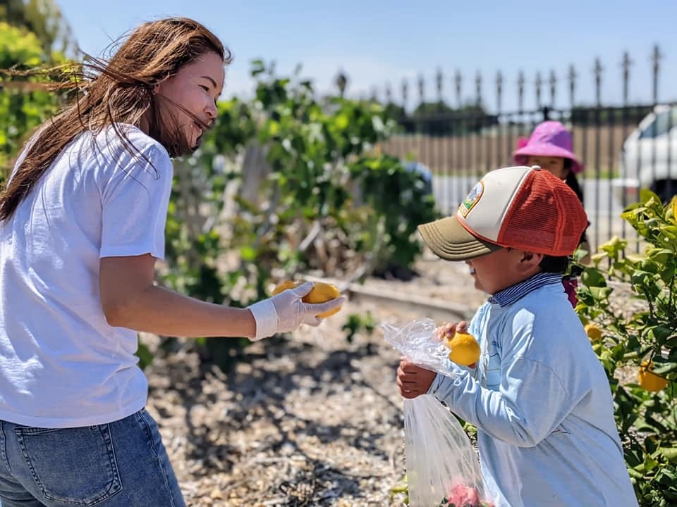 Online Farm Stand: Bring your farm online with a direct to consumer ...