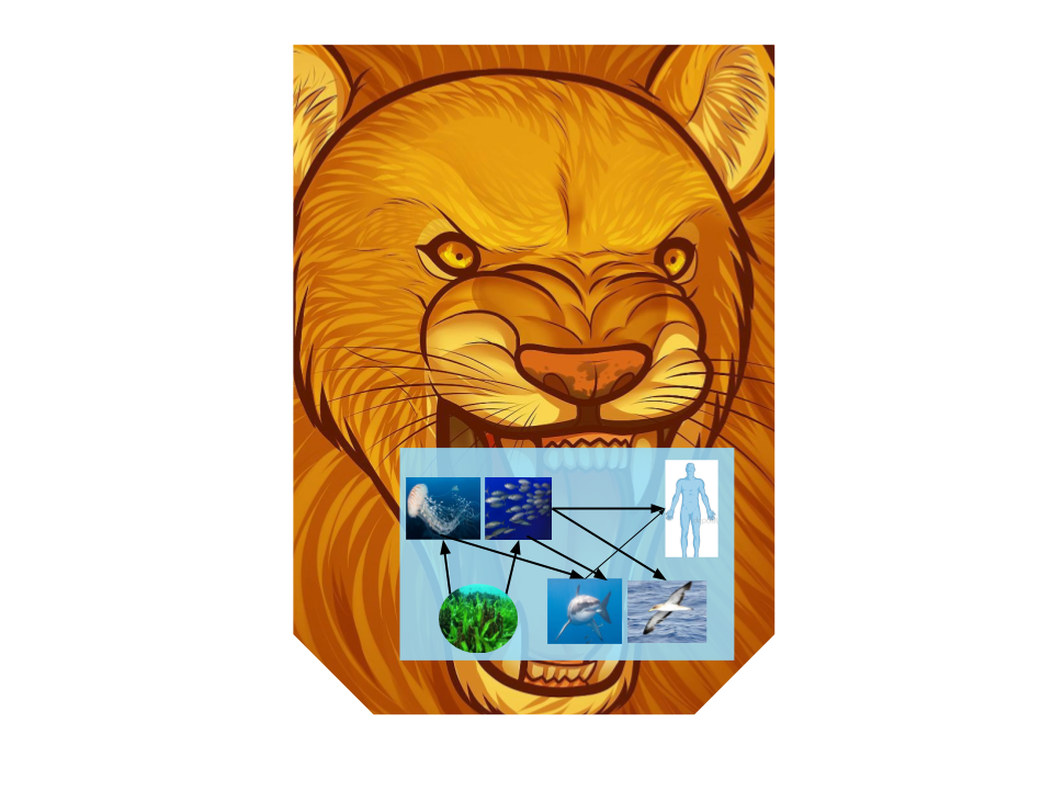The Lion of Plastic Pollution. In everyday lives, companies and… | by ...
