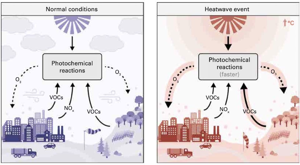 Ozone pollution leads to loss of a third of Asia’s soybean crop | by ...