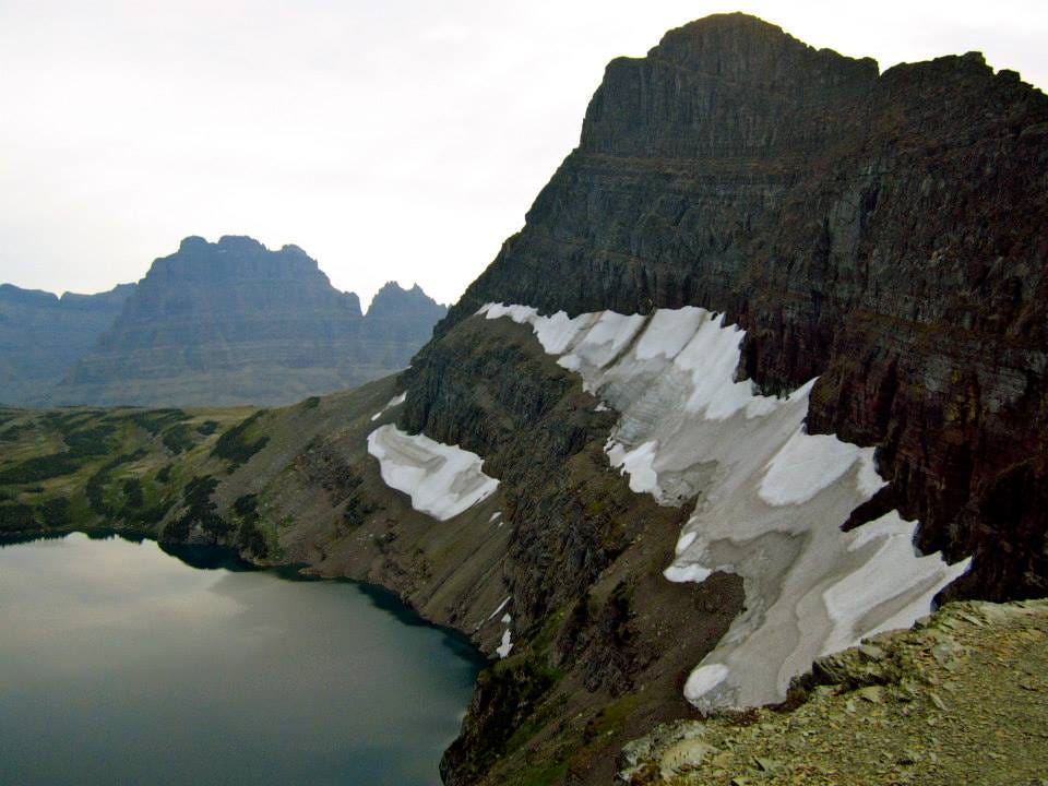 It’s a Bear!. We’d only been in the tent about 45… | by Jeff Whittington | Medium