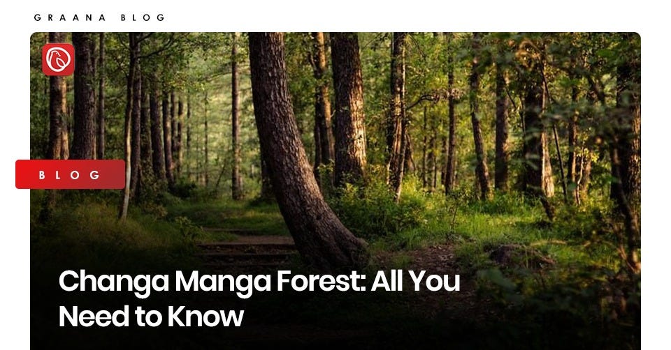 History of changa manga. Named after two brother dacoits, the… | by M ...