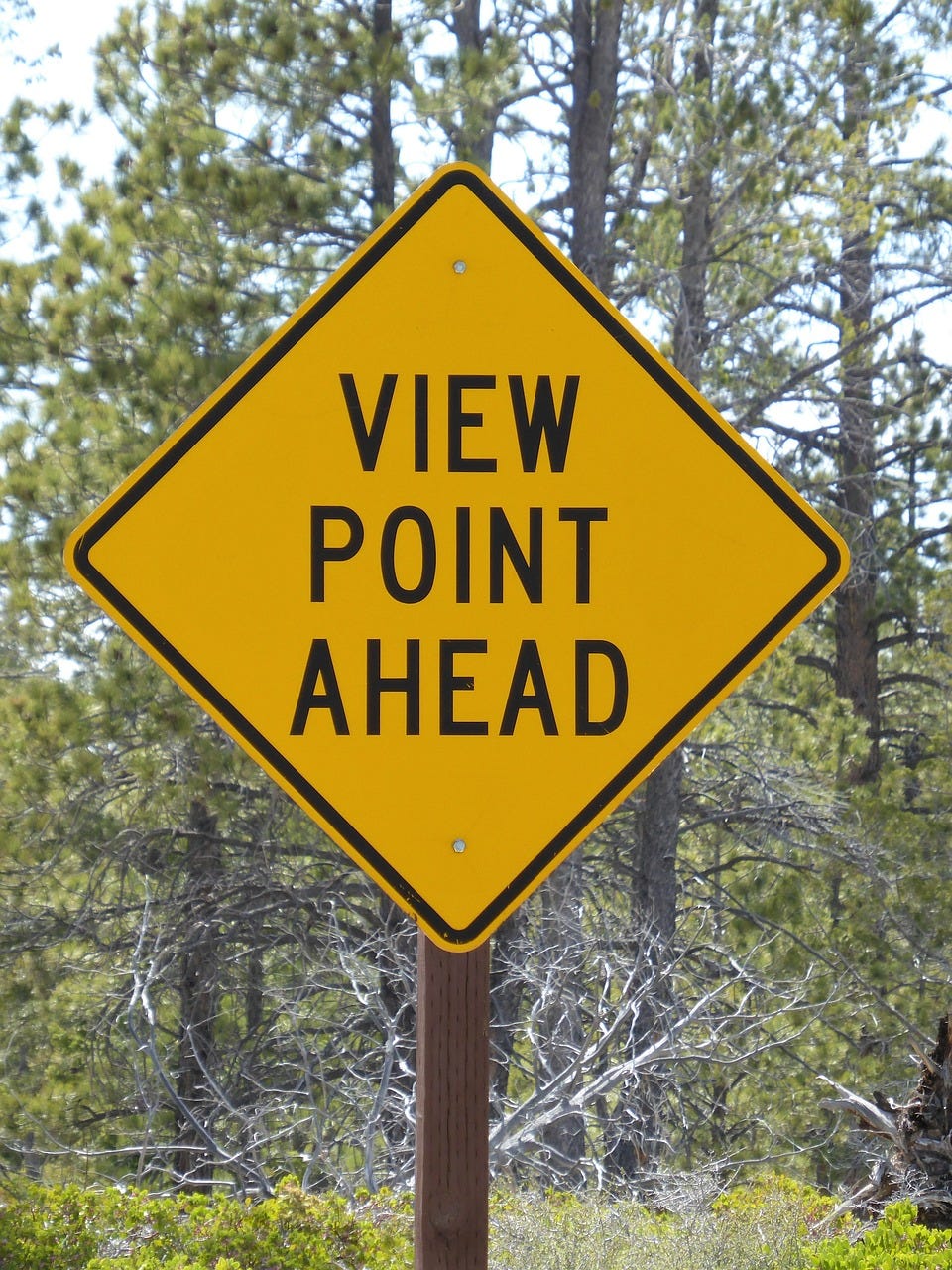 Varied Viewpoints Explored. Embracing Diversity in Levels | by ...